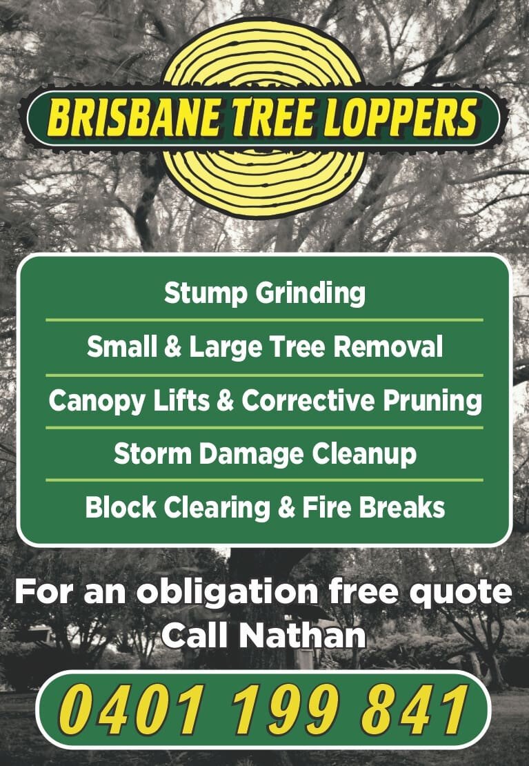 Brisbane Tree Loppers | Tree Removal & Stump Grinding, Dayboro